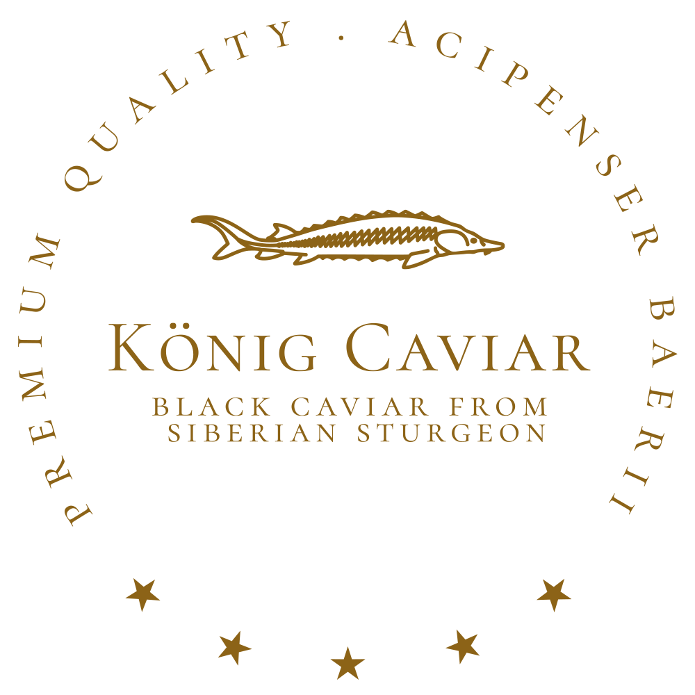 Om mig - Catarina König